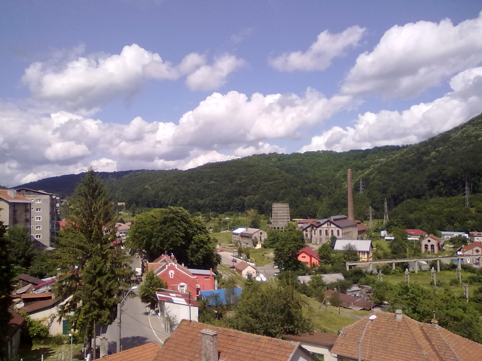 Anina, o iubire cât o viață - Corina Popovici