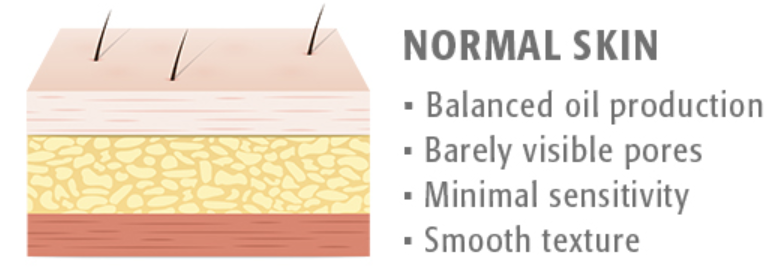 Tenul normal - Ten sărutat de soare